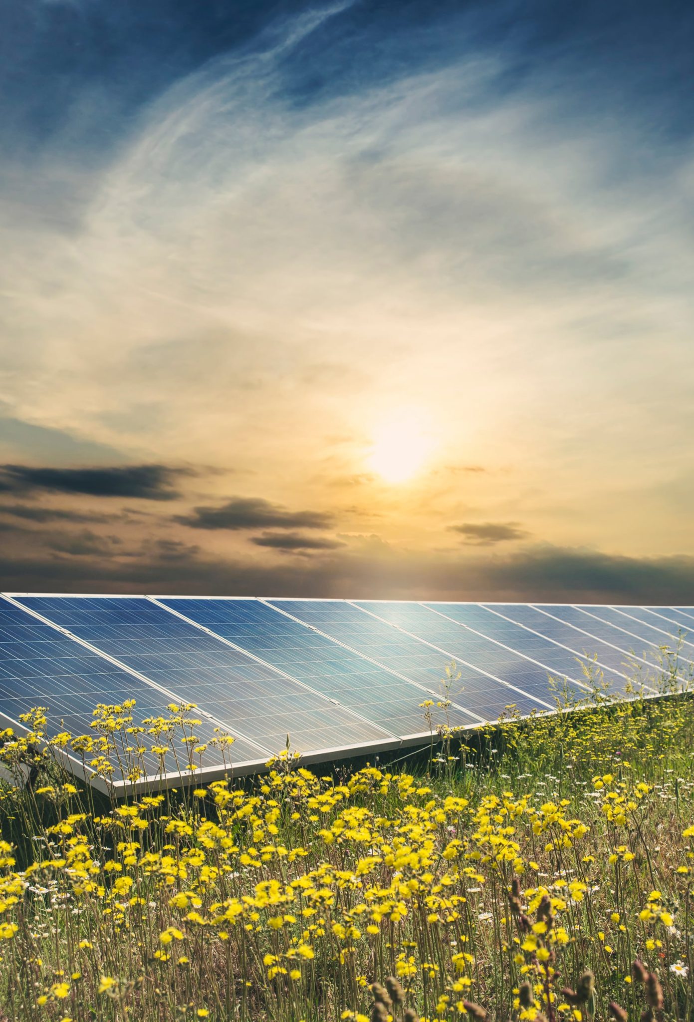 Mike Lang | Excelsior Energy Capital